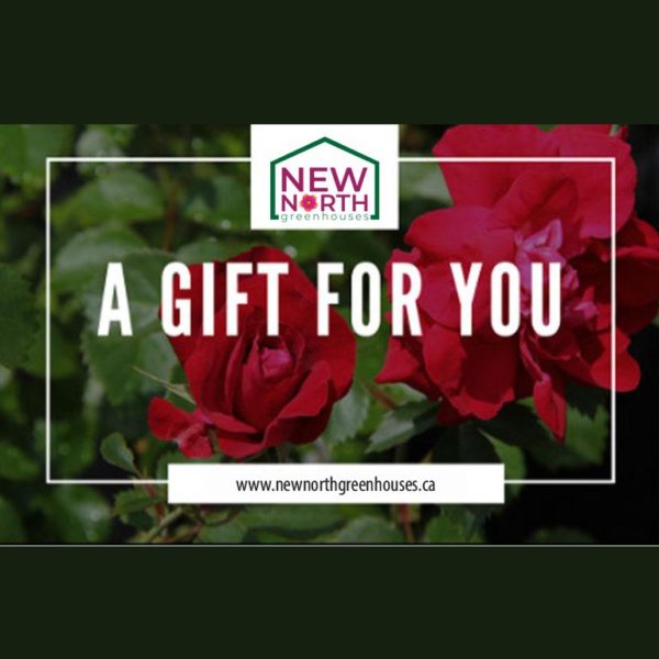 Physical Gift Cards